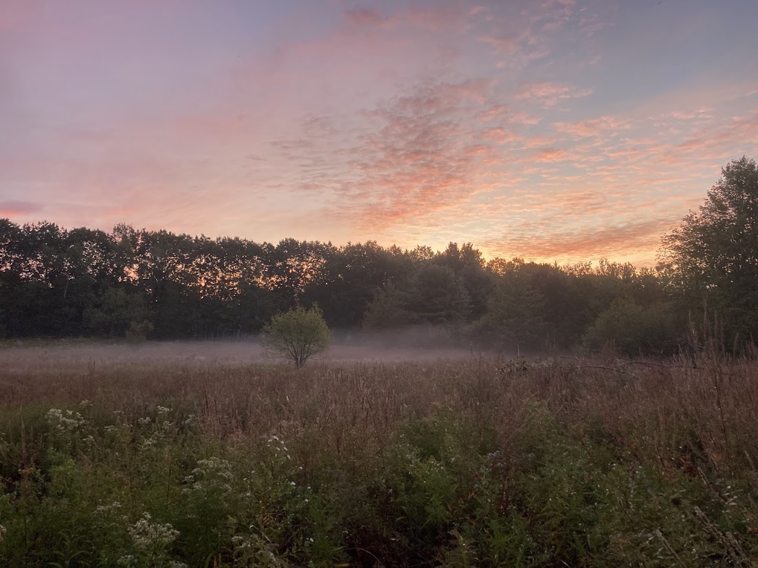 Wholeness in Dark and Light – Washington City Church of the Brethren